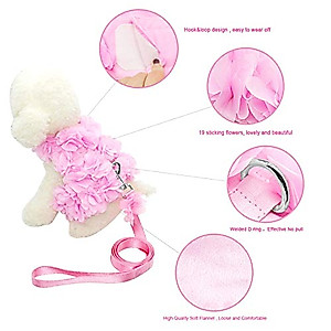 POPETPOP Dog Leash and Harness for Girls,Cute Dog Flower Harness Waking Vest Harness and Pet Leash for Halloween Wedding Cat Puppy Girl-Size XL