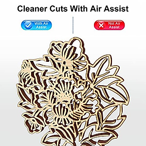 LASER TREE Air Assist, Laser Air Assist Pump for Laser Cutter and Engraver, Adjustable 10-30 L/Min Airflow for Laser Cutting and Laser Engraving, Protect Laser Module Lens, Smooth Edge Clean Cuts