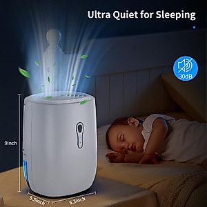 Dehumidifiers for Home, Small Dehumidifiers with Drain Hose(30OZ),2400 Cubic Feet (260 sq ft) Portable Dehumidifier for Room, Auto Shut Off, 30dB Ultra Quiet, Dehumidifiers for Bathroom, Basement,