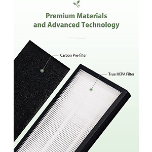 2-Pack Replacement Filter