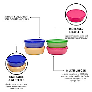 Tupperware Plastic Bowl (1000Ml, Multicolour) -4 Piece - Multicolor