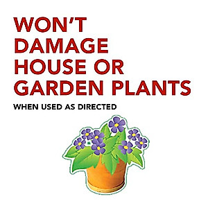 Raid House and Garden Aerosol 11 Ounce (Pack of 6)