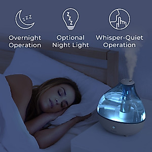 Pure Enrichment® MistAire™ Ultrasonic Cool Mist Humidifier - Quiet Air Humidifier for Bedroom, Nursery, Office, & Indoor Plants - Lasts Up To 25 Hours, 360° Rotation Nozzle, Auto Shut-Off, Night Light
