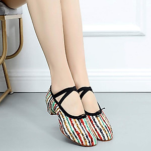 JUODVMP Women's Latin Dance Shoes Professional Practice Teachers Dance Shoes Ballroom Ballet Performance Shoes,Model JSCT,Green,9 US