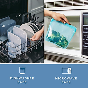 Stasher Silicone Reusable Storage Bag, 1/2 Gallon (Clear) | Food Meal Prep Storage Container | Lunch, Travel, Makeup, Gym Bag | Freezer, Oven, Microwave, Dishwasher Safe, Leakproof