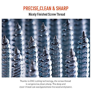 Trivd Frol 550Pcs Self Tapping Screws Assortment Set, M3/M4/M5/M6 304 Stainless Steel Sheet Metal Screws Kit, Phillips Drive Wood Screw Assortment 550Pcs(275pcs Round Head and 275pcs Flat Head)