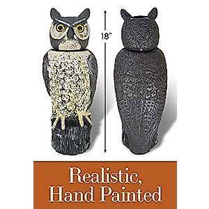 Dalen SOL-R Action Solar Fake Owl Decoy to Scare Birds Away from Gardens, Rooftops, and Patios - Scarecrow Provides Chemical-Free Pest Control - Safe and Humane, 18" 360º Rotating Head