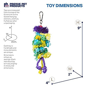 Prevue Pet Products Preen & Pacify Calypso Creations Braided Bunch Bird Toy 62669