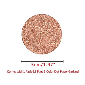 LITAUS Rose Gold Birthday Decorations - Pack of 20 | Happy Birthday Banner, Tissue Paper, Swirls, Garland | Happy Birthday Decorations | Birthday Decorations for Women | Birthday Party Decorations