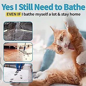 Mooncat Waterless Cat Shampoo, Licking Safe Dry Shampoo for Cats, No Rinse Foam Cat Bath, Grooming for Cat, Kitten Sensitive Skin, Dander Reducing, Paraben Free, pH Balanced (5 oz) Shampoo ONLY