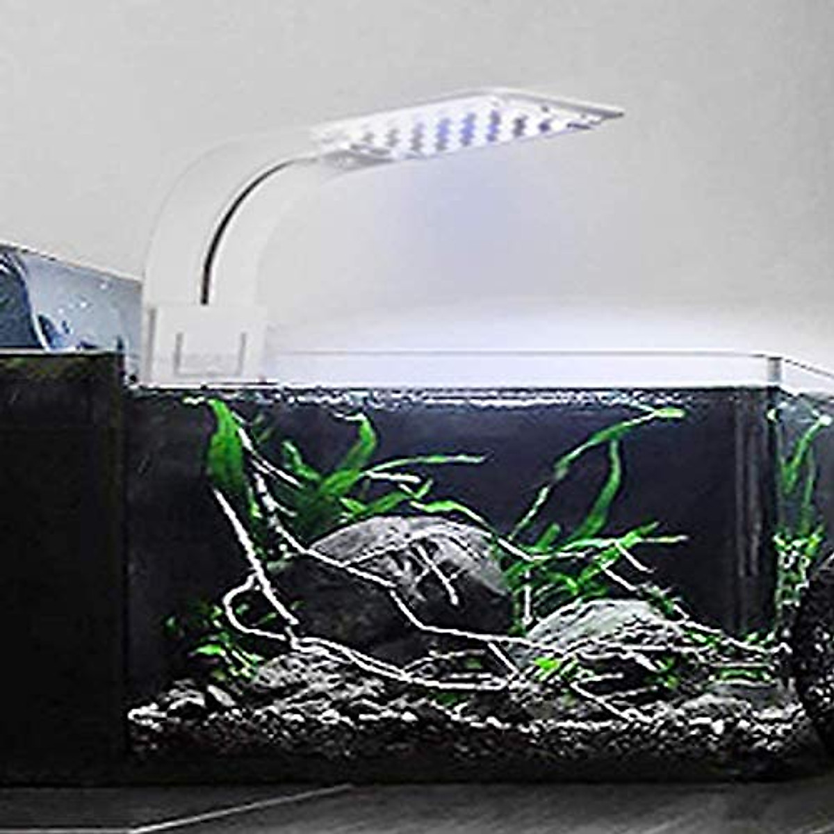 IC INSTANT COACH 10W Super Slim Aquarium Fish Tank 5730 LED Light Clip-on Lamp Aquatic Plant Lighting (White Body White+Blue Light)