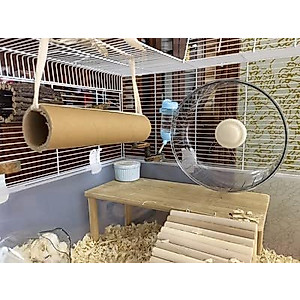 WHFPS Silent Hamster Exercise Wheel - Hamster Toy Accessories 7.9 Inch Running Spinner Quiet Hamster Runner for Small Animal Pet Gerbil Dwarf Syrian Hamster Hedgehog Rat Mouse Mice etc.