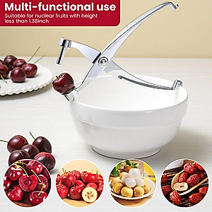 Cherry Pitter Cherry Picker Easy to use,Heavy Duty Cherry Tool all metal construction, easy to clean, for pitting cherries, olives, kitchen tool
