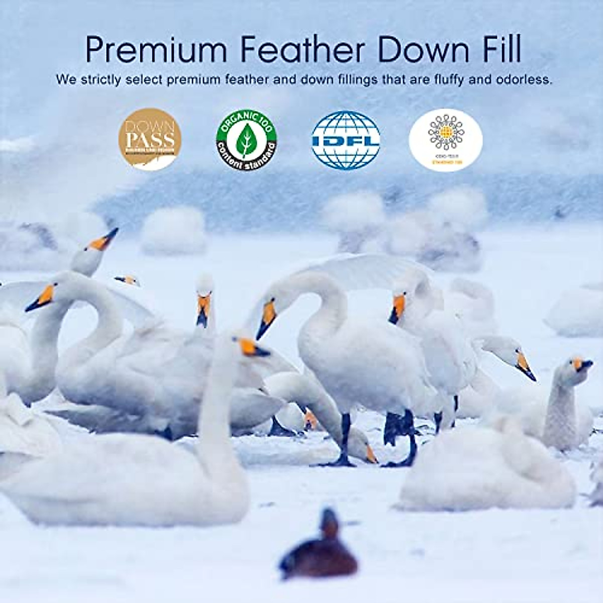 KASENTEX California King Size Down Comforters - All Season Down Comforter California King Size Down and Feather Filling - 100% Cotton Cover Duvet Insert - Stand-Alone Down Comforter, Light Grey