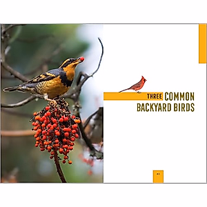 North American Bird Watching for Beginners: Field Notes on 150 Species to Start Your Birding Adventures