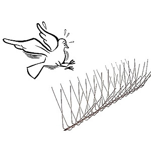 Nixalite Pigeon Spike Stainless Steel Bird Spikes (10 Ft, 5-2 Ft. Strips)