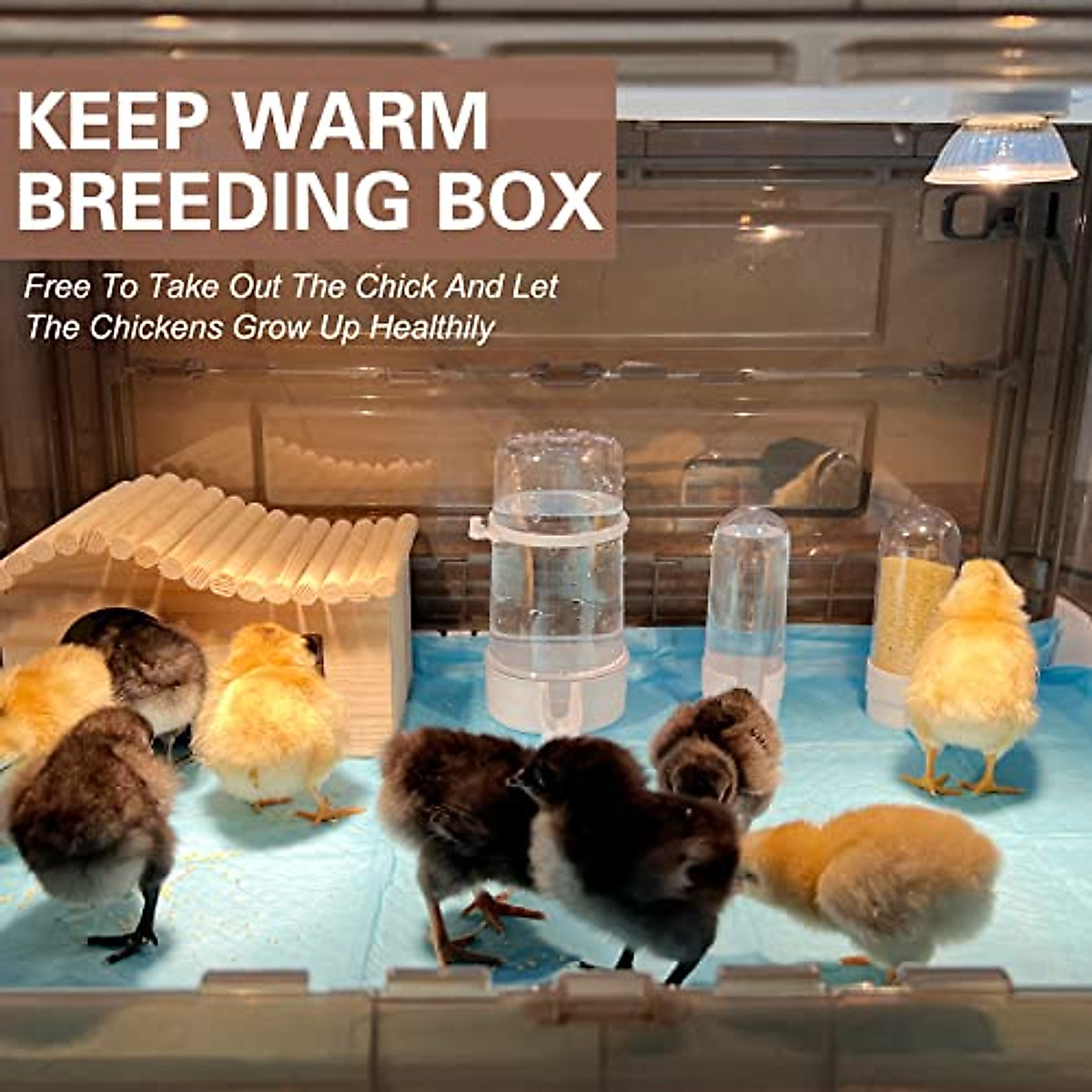 HKDQ Chick Brooder,Brooder Box for Chicks,Brooder Heater Warms up to 20 Chicks,with Pet Pee Pad(55L)