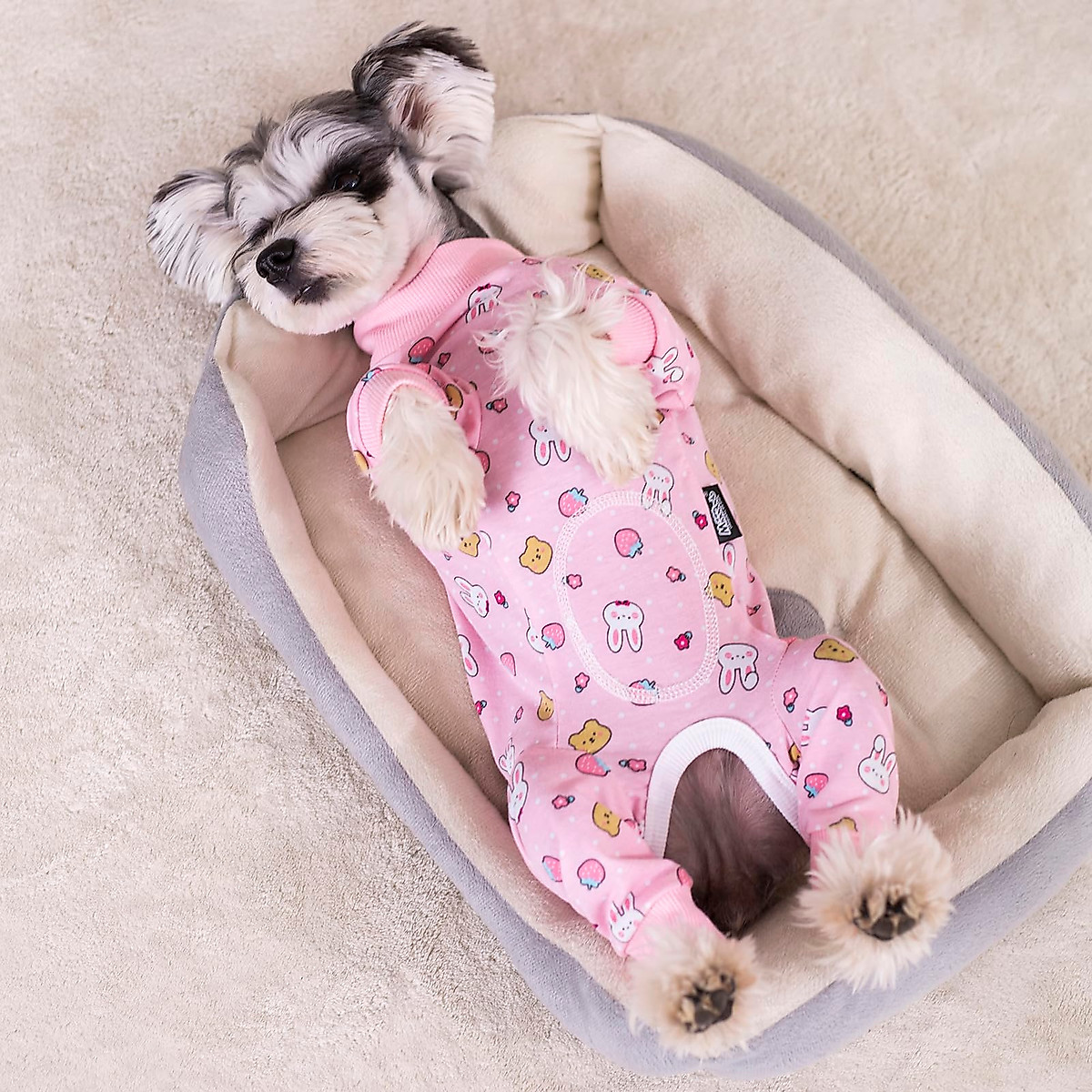 Dog Bodysuit Surgery Recovery Suit for Female Dogs,Small and Medium-Sized Dogs Zipper on Back-Post-Spay Dog Surgery Recovery Suit Puppy Cat Long Sleeve Onesies Bodysuit After Surgery Wound Protective