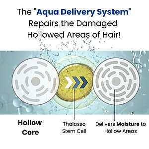 8 THE THALASSO Smooth Series: Normal to Oily Shampoo, Unique Thalasso Stem Cells with Deep Sea Water & Marine Collagen, Chemical-Free, Moisturizing & Smoothing, 475mL /16.06 fl oz