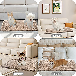 PJYuCien Fluffy Fleece Calming Pet Throw Blanket, Super Soft and Warm for Indoor Cats and Dogs, Large 30 * 40", Machine Washable, Grey Puppy Blanket (Brown)