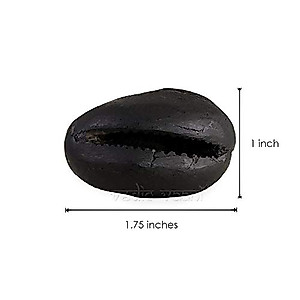 Vedic Vaani Divine Very Rare Hayagriva Vishnu Religious Natural Shaligram Shila/Stone Origin from Nepal Gandaki River, for Bring Wisdom, Prosperity and Success, India