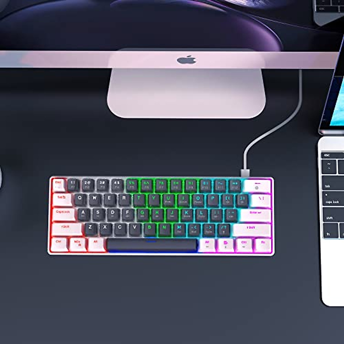 RAZEAK Portable 60 Percent Keyboard, Compact 61 Keys Mini Mechanical Keyboard for PC/Mac Gamer Switchable Colorful Backlit - Blue Switch - White+Black