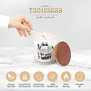 Cat Gifts for Cat Lovers - Cat Lovers Gifts for Women Funny Cat Mom Pet Candle, Christmas Cat Stuff for Cat Dad Gifts, Cat Decor for Room, Bathroom, Home Office Desk Decorations, Crazy Cat Lady Things