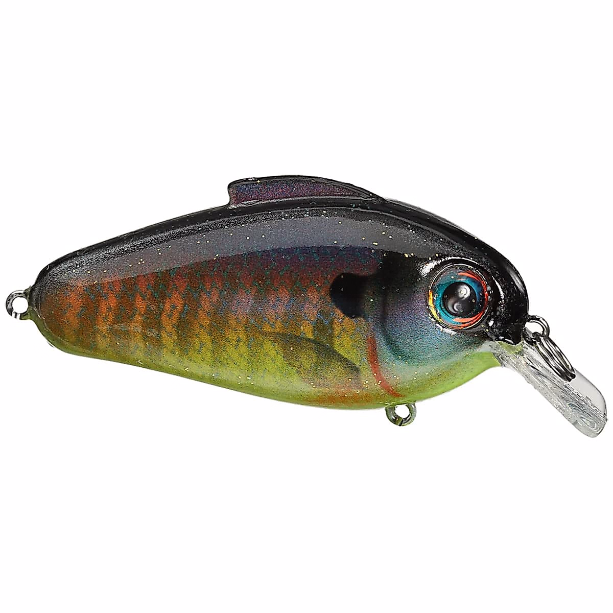 Bill Lewis Lures Lifelike Echo 1.75 Squarebill Crankbait Fishing Wobble Lure for Shallow Freshwater Saltwater, Sunrise Perch