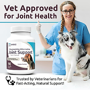 K9 Select Joint Support for Dogs with BiovaPlex - Glucosamine Alternative - 90 Chewable Tablets - Dog Joint Supplement for Mobility & Flexibilty - Hip & Joint Supplement Dogs Promotes Overall Health