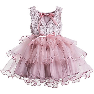 HNXDYY Flower Girl Princess Dress Tutu Sleeveless Birthday Party Summer Baby Clothes 678 Pink 2-3 Years
