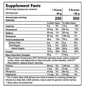 Project AD Mass Chaser, Mass Gainer Protein Powder, Gain Strength & Size Quickly, Mixes Easily, Tastes Delicious, 500 Calories & 25g Protein (30 servings, Vanilla Swirl Cake Batter)