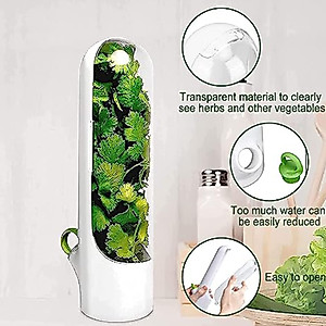 3PCS Herb Saver for Refrigerator, Herb Keeper-Vegetable Preservation Bottle, Cilantro Containers For Refrigerator, Fresh Herb Keeper for Cilantro, Mint, Asparagus, Keeps Greens Fresh for 2-3 Weeks