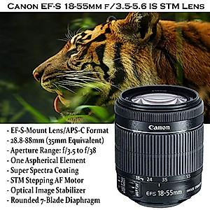 Canon EOS 90D DSLR Camera Kit with Canon 18-55mm & Canon 75-300mm Lenses + 420-800mm Telephoto Zoom Lens + Battery Grip + TTL Flash (Upto 180 Ft) + Commander Microphone + 128GB Memory Accessory Bundle