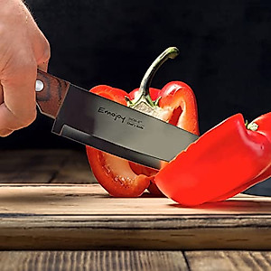 Emojoy Kitchen Knife Set,Knife Set for Kitchen with Block 6 Pcs High Carbon Stainless Steel Wooden Handle Knife Block Set without Steak Knives…