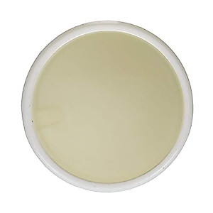 Attwood 11875-7 Floating Key Buoy Key Chain, for mens 1 7/64 x 2 51/64 x 5/16 Inch