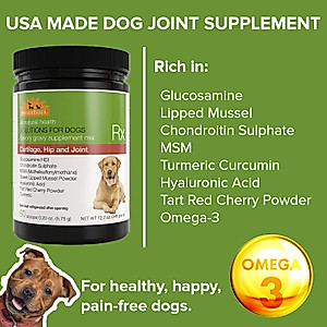 WellyTails Glucosamine Chondroitin MSM Turmeric Dog Joint Supplement for Large Dogs 12.2 oz. (60 Scoops)