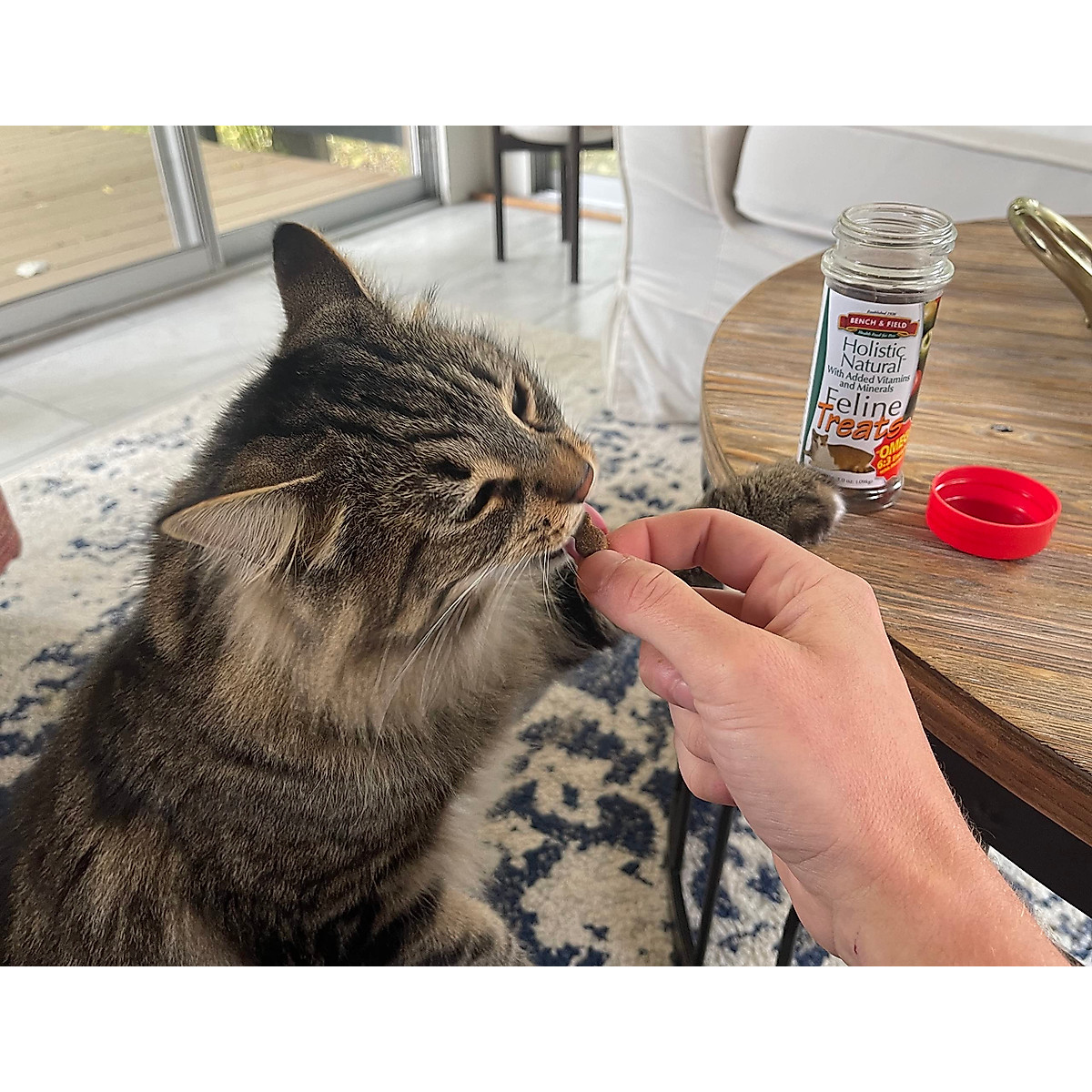 Bench & Field Holistic Natural Healthy Kitty Cat Treats | Crunchy Fish-Shaped Bites | Delicious Seafood Flavored Snack, 3-Ounce (Pack of 2 Bottles)