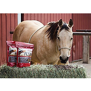Flix 9 lb, 100% Flaxseed Healthy Treats for Horses, High in Omega-3