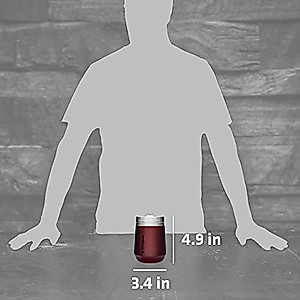 Stanley Stainless Steel GO Tumbler, 10oz Stainless Steel Vacuum Insulated Wine Tumbler, 5 Hours Cold, 1.5 Hours Hot, and 20 Hours Iced