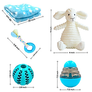 SoSoCute Blue Dog Gift Box - Puppy Chew Toy Set of 5 - Puppy Care Package with Dog Blanket, Squeaky Plush, Rubber Puppy Teether, Teething Ball, and Treat Ball for Small and Medium Dogs