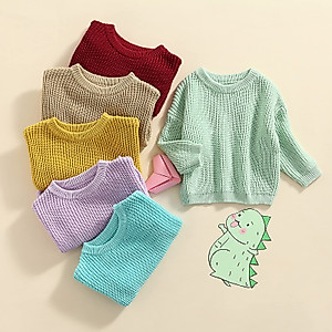 Autumn Winter Warm Outfits Baby Girl Cute Long Sleeve Knitted Sweater Pullover Top(Light Purple,2-3T)