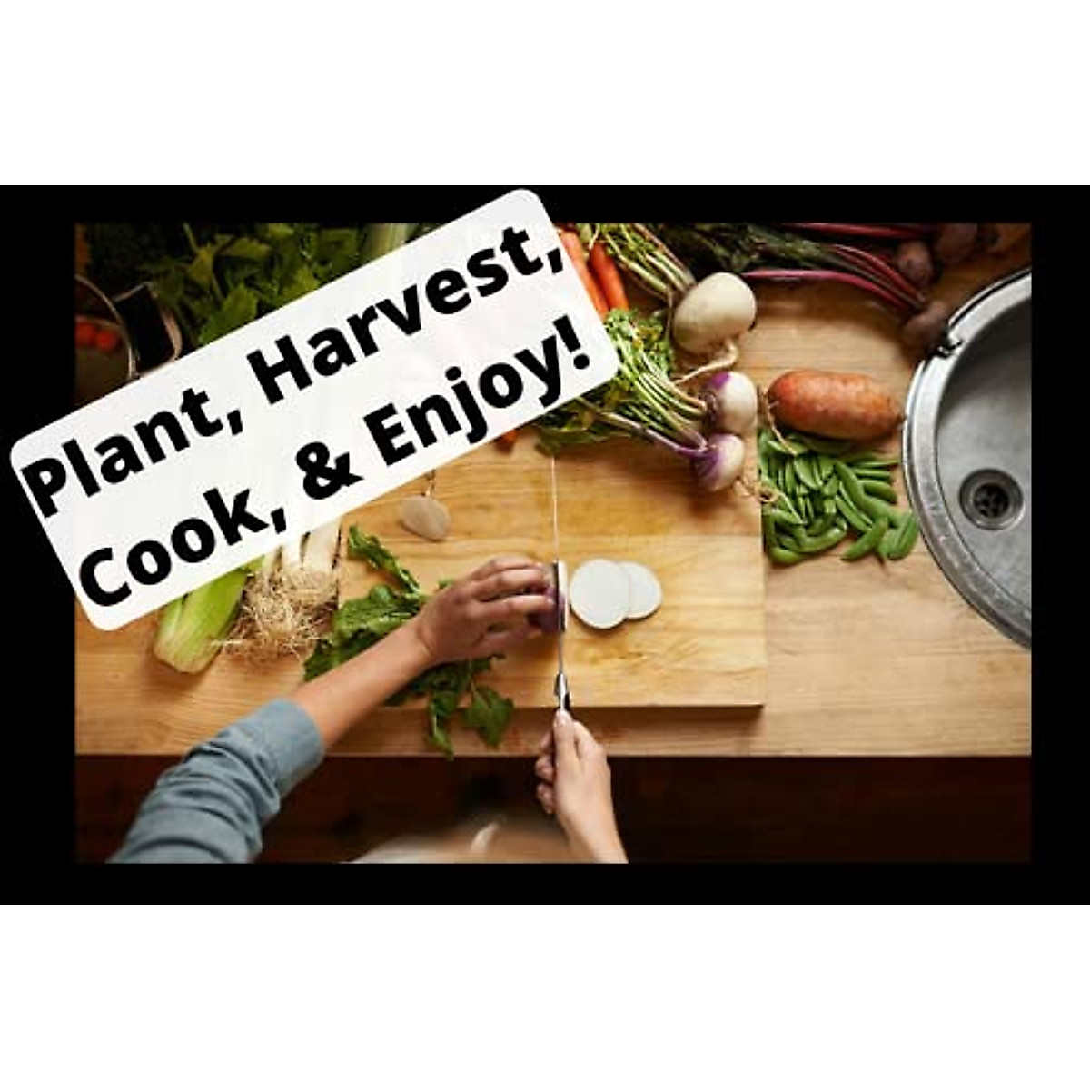 6 Grams 2500 Purple Top White Turnip Seeds for Planting Non-GMO Heirloom Vegetables Variety Seed Packet Instructions to Plant Home Vegetable Garden Great for Summer Fall & Winter Gardens B&KM Farms