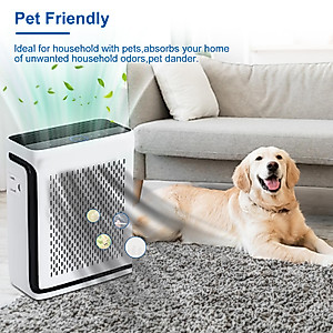 Vital 100S Pet Replacement Filter Compatible with Levoit Smart WiFi Vital 100S Air Puri-fier, 3-in-1 H13 HEPA and High-Efficiency Activated Carbon Filter, Vital 100S-RF, 2 Pack.