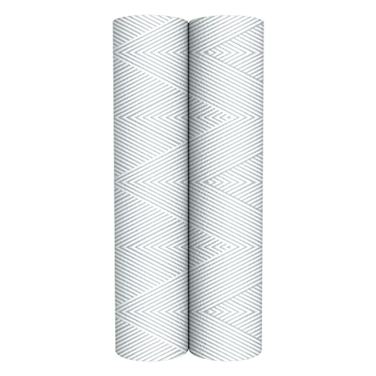 CFS COMPLETE FILTRATION SERVICES EST.2006 Compatible for OmniFilter Model RS2-DS 2 Pack String Wound Filters Whole House Water Filter Cartridges