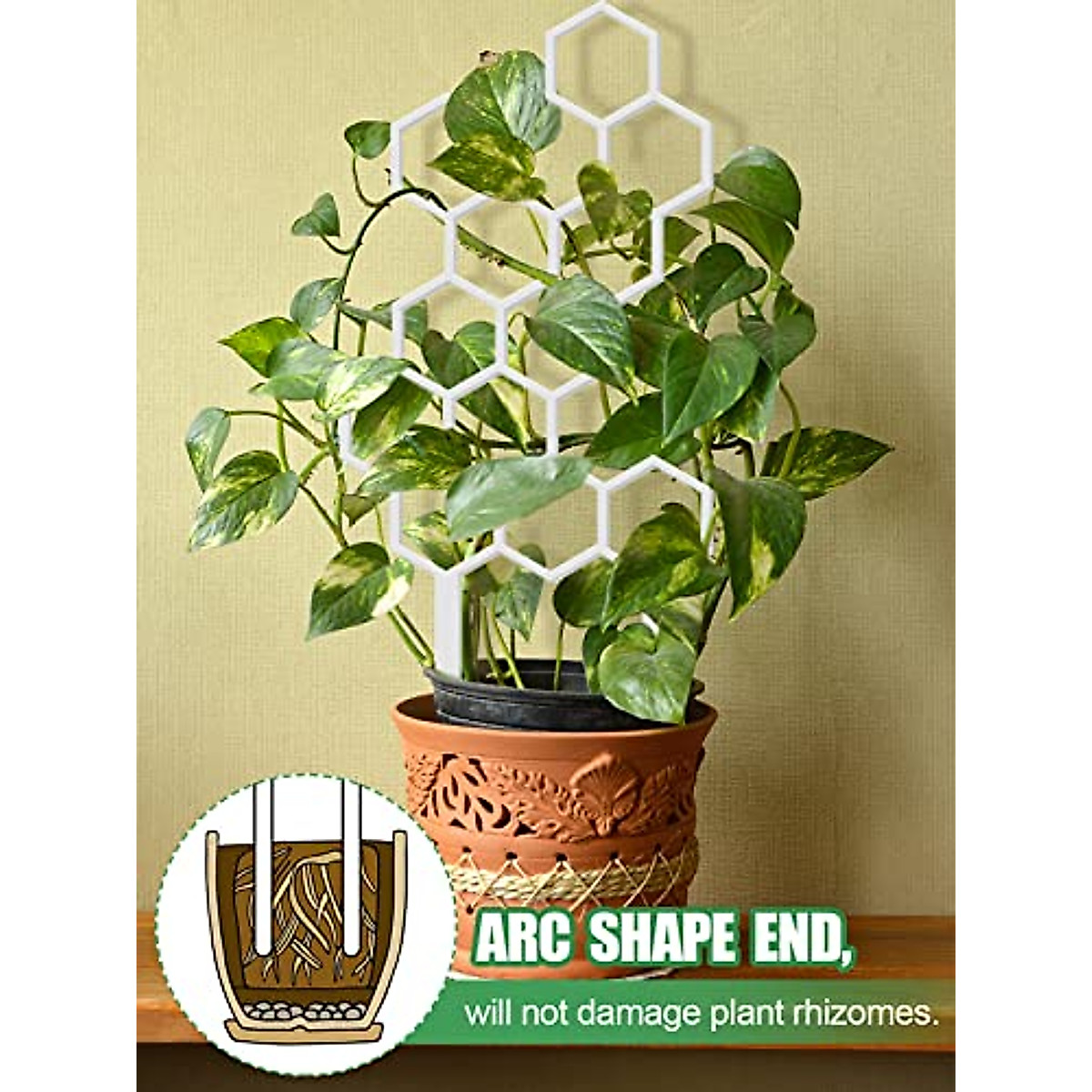 3 Pack Plastic Small Plant Trellis for Climbing Potted Plants- 15.7" × 7.9" Sturdy Honeycomb Shaped Plant Trellis Indoor Non-perishable Houseplant Trellis Starter for Outdoor Garden Flower Support