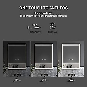 LALAHOO Bathroom Medicine Cabinet with Mirror,20" x 28" Lighted Medicine Cabinet with Large Storage,LED Medicine Cabinets for Bathroom with Shelves,Dimmer and Anti-Fog