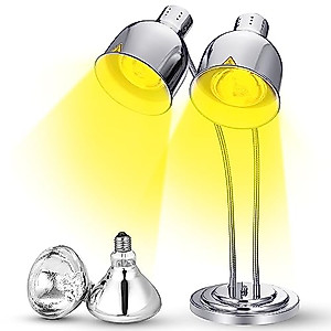 VIHOSE Food Heat Lamp Food Heat Preservation Lamp Commercial Food Warmer Light Portable Catering Heat Lamp for Restaurant Kitchen Food Heating Home Use Service Buffet, Dual Head, 250W Bulb, Silver