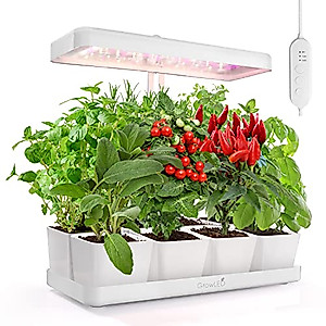 GrowLED LED Indoor Garden, Herb Garden, Kitchen Garden, Height Adjustable, 20W Grow Light, Automatic Timer, Ideal for Plant Grow Novice Or Enthusiasts, Various Plants, DIY Decoration, White
