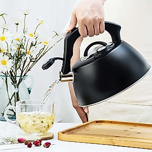 Sound Kettle with Temperature Gauge,Stainless Steel Kitchen Whistle Kettle,Water Temperature Display Sound Kettle 2.5L,Gas Stove Kettle,Camping Hob Kettle