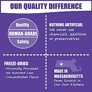 Whole Life Pet Healthy Skin Daily Supplement for Dogs – Omegas, Probiotics, Prebiotics, Antioxidants. Skin, Anti-Itch, Allergies. Mixes in Food or with Water for Hydrating Snack